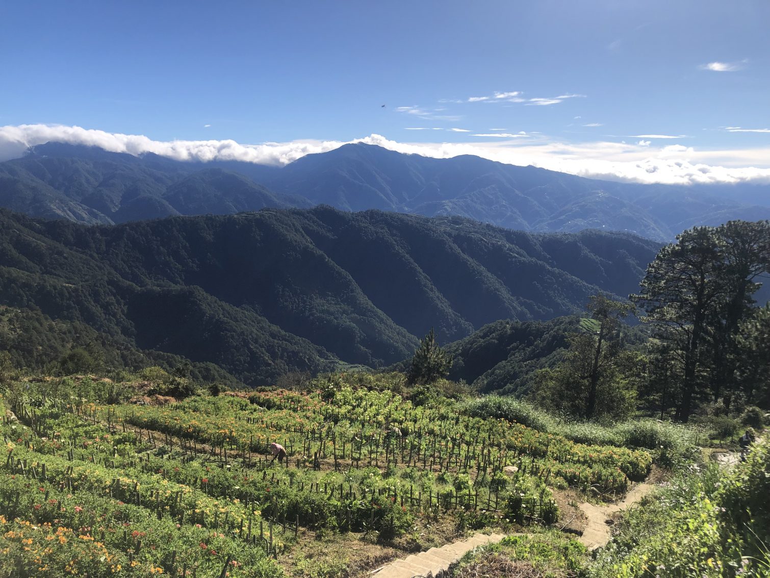Benguet Philippines our much needed vacation - Pinay Expat
