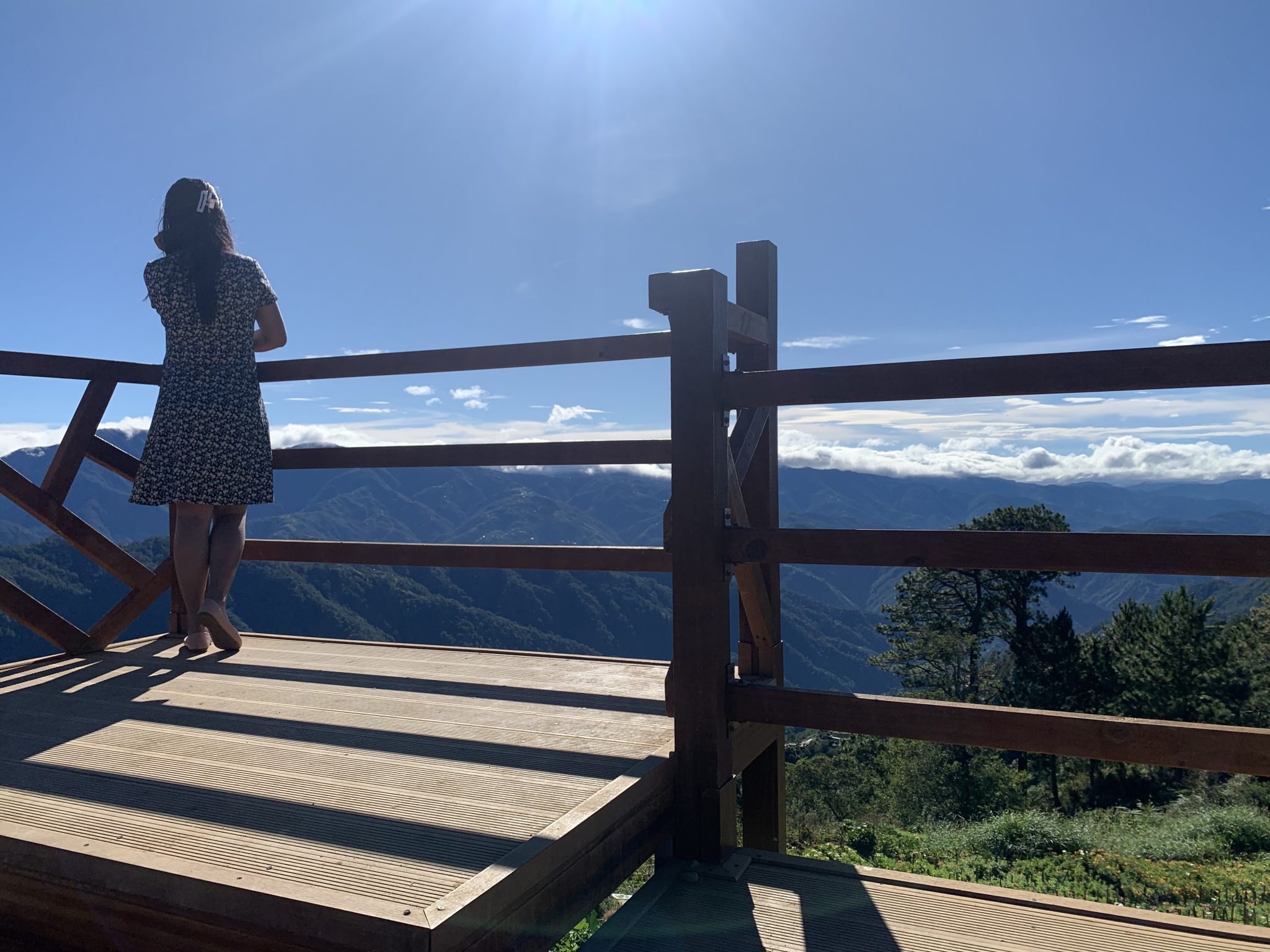 Northern Blossom Flower Farm like a Paradise - Pinay Expat