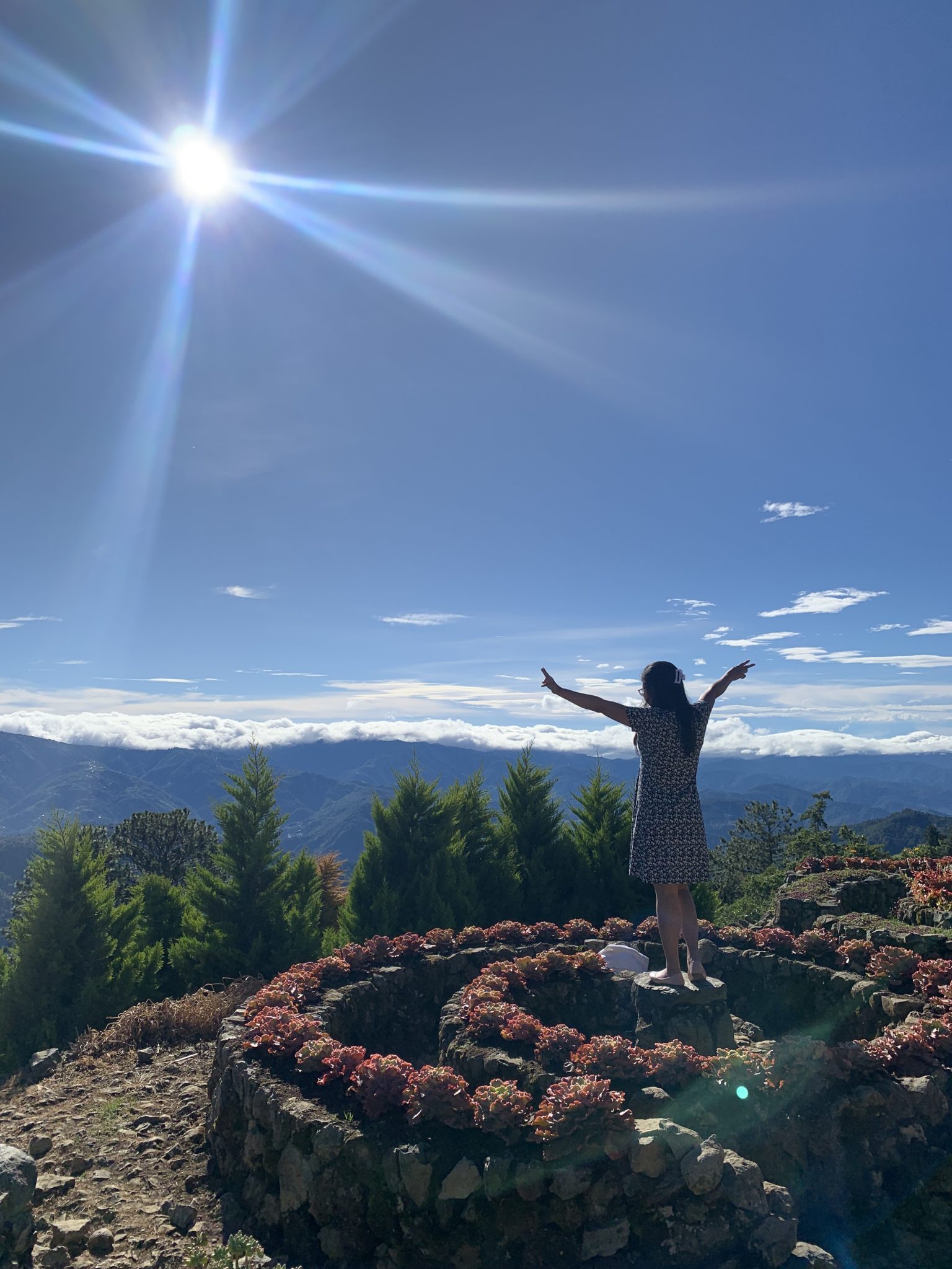 Northern Blossom Flower Farm like a Paradise - Pinay Expat