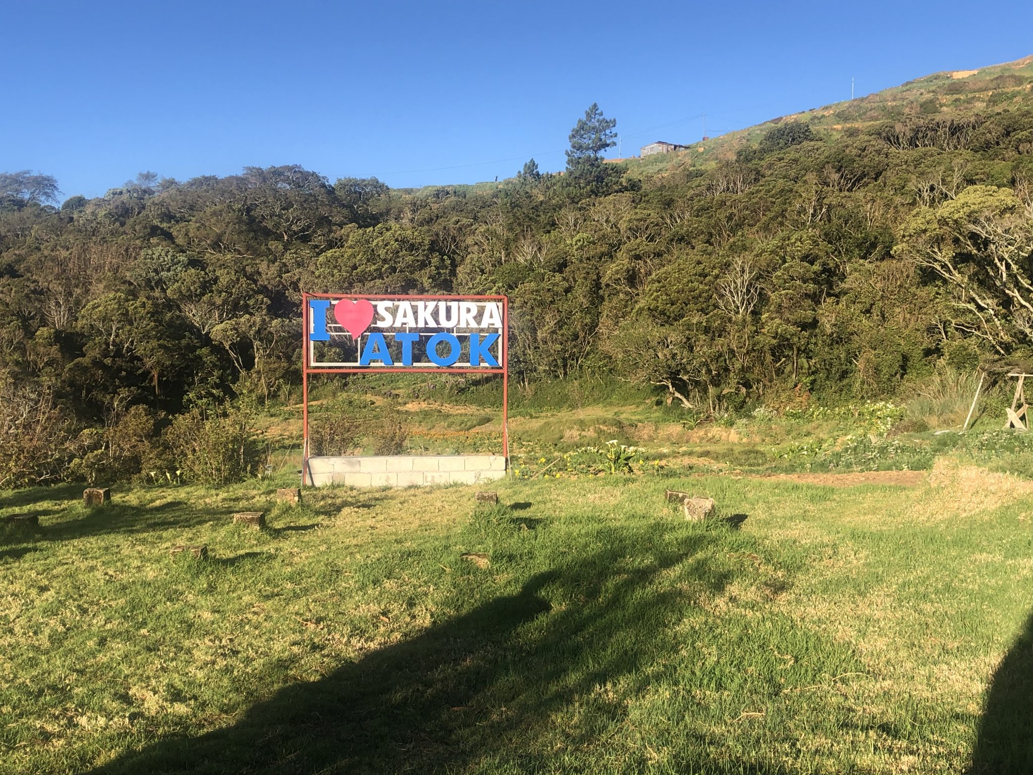 Sakura Park Atok Benguet 2022 - Pinay Expat